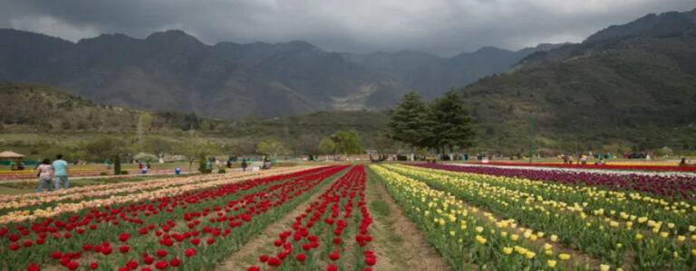 Spring In India - Climate, Nature, And Best Destinations » IndiaPost ...
